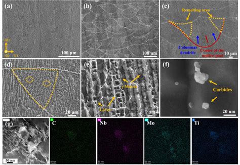 Microstructure Analyses A Bse And B F Sem Micrographs G The Eds