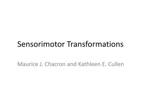 Ppt Sensorimotor Transformations Powerpoint Presentation Free