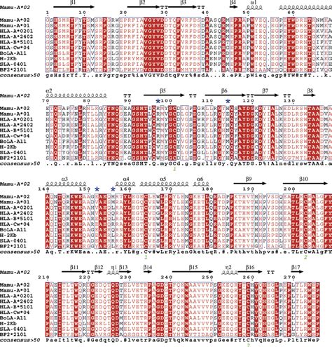 Structure Based Sequence Alignment Of Mamu A02 And Other Mhc I