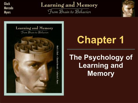 Chapter 1 Learning And Memory