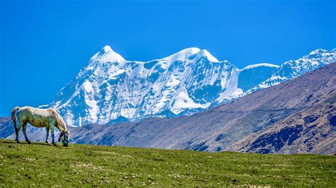 Trekking The Green Climb