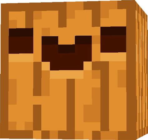 Snow Golem Face