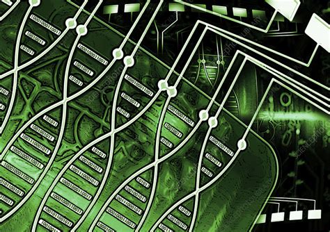 Dna Computing Conceptual Illustration Stock Image F0279830