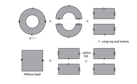 General Topology How To See The Real Projective Plane Is A Möbius Band Glued To A Disk
