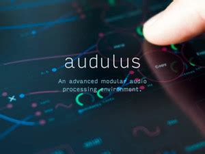 Audulus Modular Synth For IPad And IPhone
