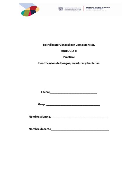 Practica Hongos Levaduras Y Bacterias Pdf Hongo Bacterias Gram