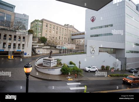 Shriners Hospital Portland At Anthony Pippen Blog