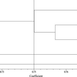 Dendrogram Of The Seven Pecan Cultivars Established Using Dice