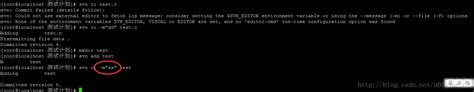 linux系统下svn服务器的快速搭建与配置指南 linux 搭建svn csdn博客