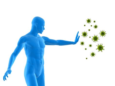 Claves De Salud Sistema Inmune Lo Que Lo Destruye Y Debilita