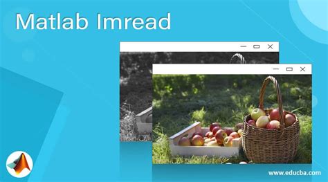 Matlab Imread Learn The Different Examples Of Matlab Imread Function