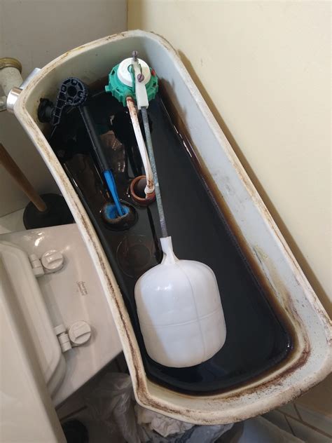 Wtf The Inside Of This Toilet Tank Is Nearly Black With Deposits R