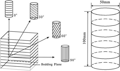 Schematic Diagram Of Specimen Orientation And The Final Sample Size