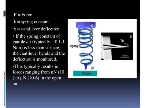 Atomic Force Microscopy Ppt