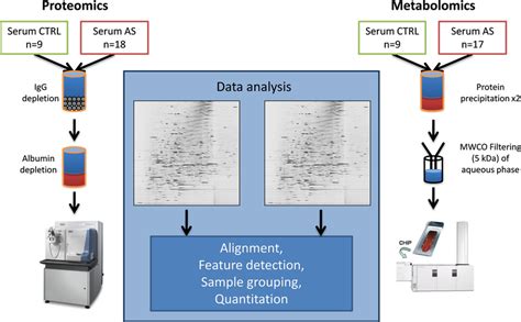 Workflow For Accessing Proteins And Small Molecules In Serum The