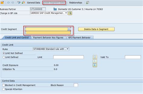 Credit Segment Is Empty In Bp Sap Community