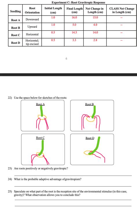 Solved Seedling Root Orientation Experiment C Root Chegg Com