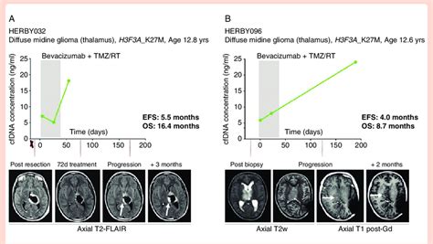 Correlation Of Plasma Cfdna Concentration And Poor Response In Download Scientific Diagram