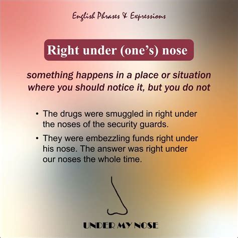 English Idioms And Phrases Right Under Ones Nose Idioms And