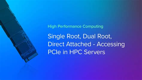 Differences In Single Root Dual Root Direct Attached Servers Exxact Blog