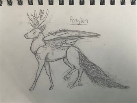 Peryton By Notquiteadragon On Deviantart