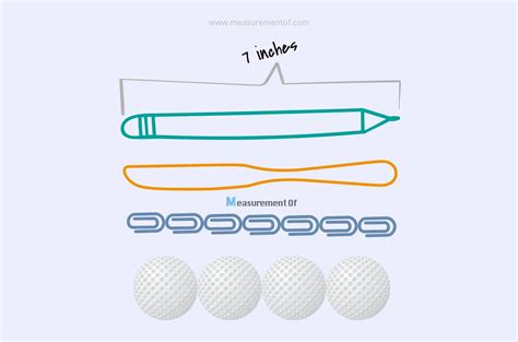 12 Things That Are Only An Inch Long