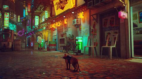 Stray Game Wallpapers Top Free Stray Game Backgrounds Wallpaperaccess