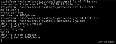 Fork函数与vfork函数fork Vfork Csdn博客