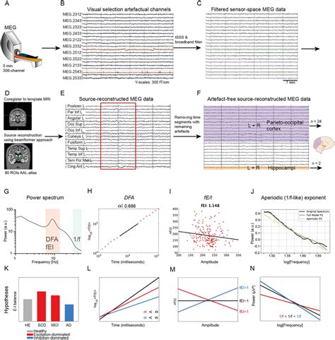 schematic of meg data preprocessing and analyses a d standardized