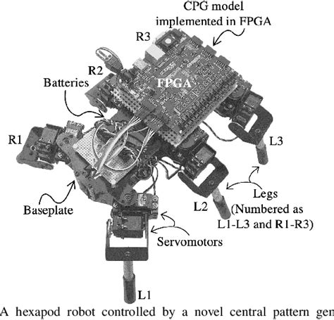 Figure 1 From A Novel Hardware Efficient Cpg Model Based On