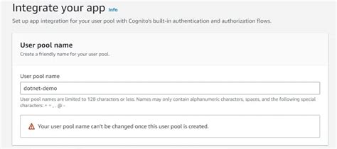 Securing NET WebAPI With Amazon Cognito Serverless Authentication System Client Credentials