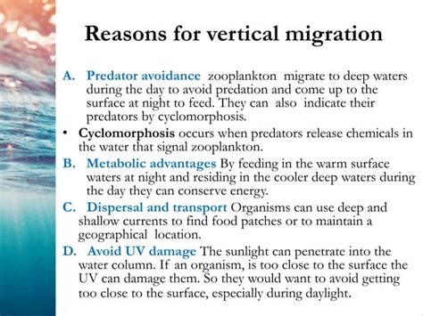 Diel Vertical Migration Dvm Pptx