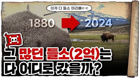 💀 아메리카 들소는 어쩌다 멸종 직전까지 가게 됐을까 💀 Feat국립중앙박물관 ‘우리가 인디언으로 알던 사람들 Youtube