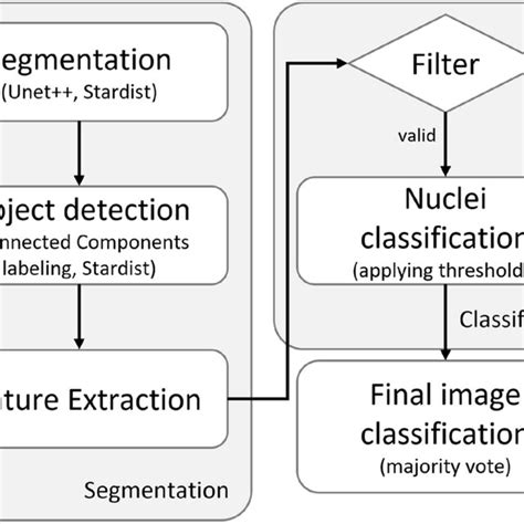 Flowchart Representation Of The Proposed Multi Step Classification Download Scientific Diagram