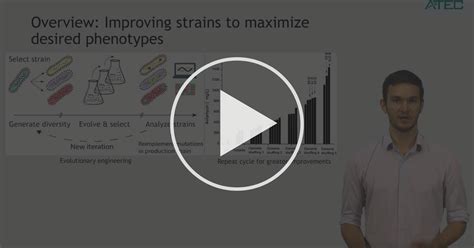 Developing Algae For Commercial Production Genetic And Metabolic Engineering Of Algae Part