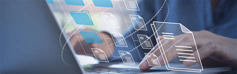 Qué Son Los Datos Sql Y Cómo Se Clasifican