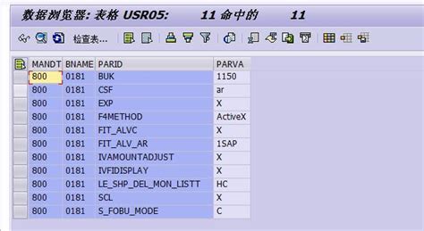 如何取得用户参数文件中的parameters sap su01中parameter怎么取 csdn博客