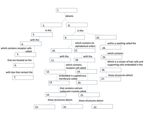 Ear Concept Map Quiz