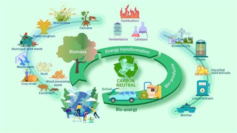 Biomass Energy Diagram