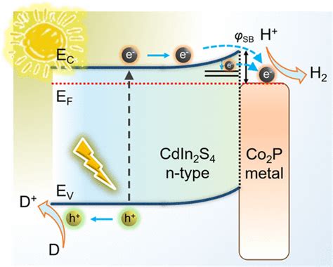 Efficient Visible Light Photocatalytic Hydrogen Evolution By Boosting The Interfacial Electron
