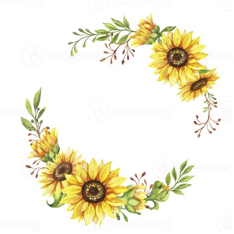 Zonnebloem Lauwerkrans Ronde Kader Van Geel Bloemen Hand Getrokken