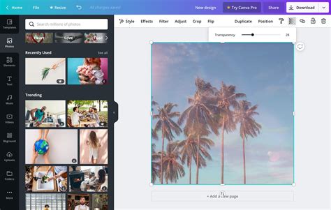 Explora las herramientas de diseño y funciones de Canva