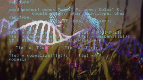 Animating Dna Strand And Programming Code Over Green Grass Background