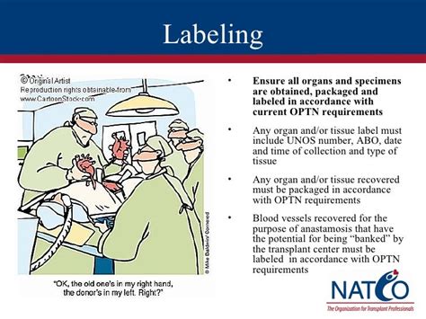 Organ Recovery And Preservation