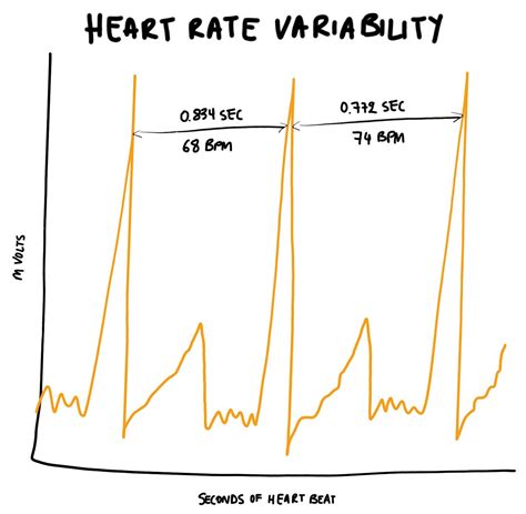 How To Increase Heart Rate Variability Hrv Artofit