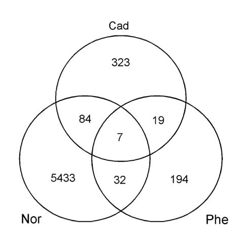 venn diagram showing the cluster overlap between the three libraries