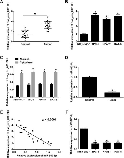 Expression Of Hsa Circ 0001681 And Mir 942 5p In Tc A Rt Qpcr Assay