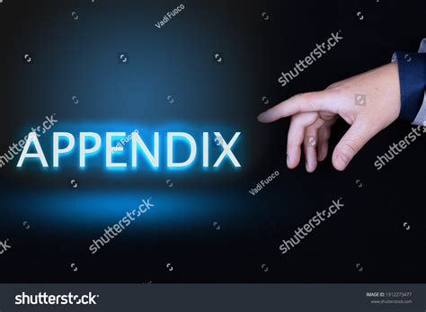 Appendix Appendix Images Browse 19 186 Stock Photos Vectors Free Download With Trial