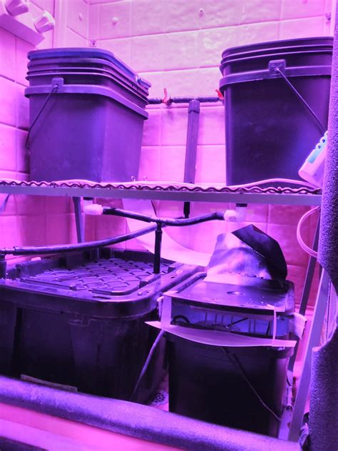 what is the most compact hydroponics setup with mycodo radical diy forum