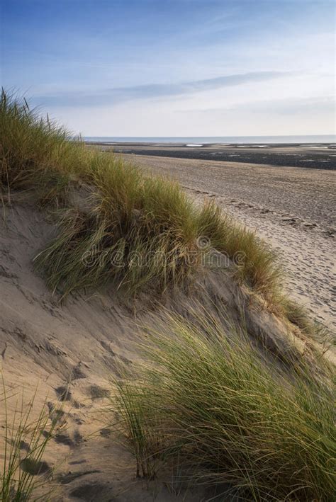 Summer Evening Landscape View Over Grassy Sand Dunes On Beach Stock